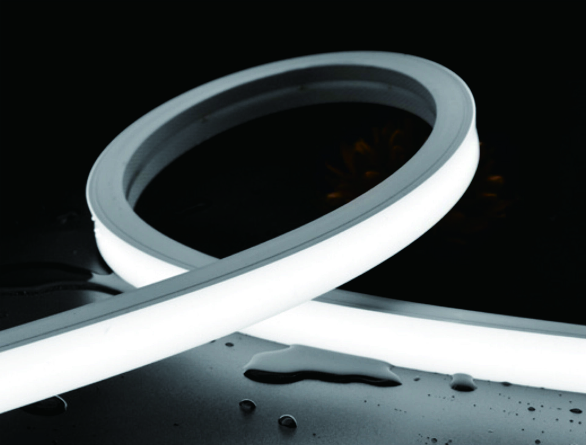 Top Bend Neon Flex 30x20mm | 20w p/mtr Maximum 5m